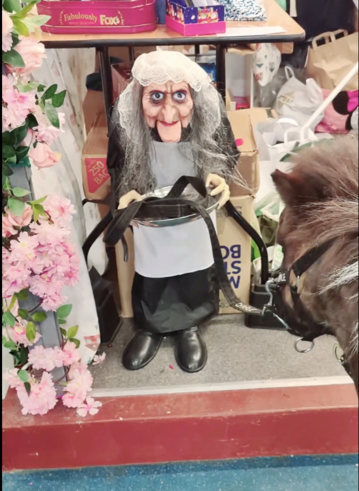 Pixie and Pickles Adventures | Therapy Ponies